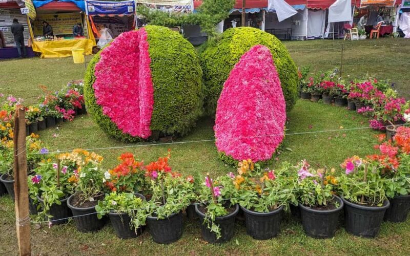 From Madurai: Private 2-Day Hill Station Trip to Kodaikanal - FAQ