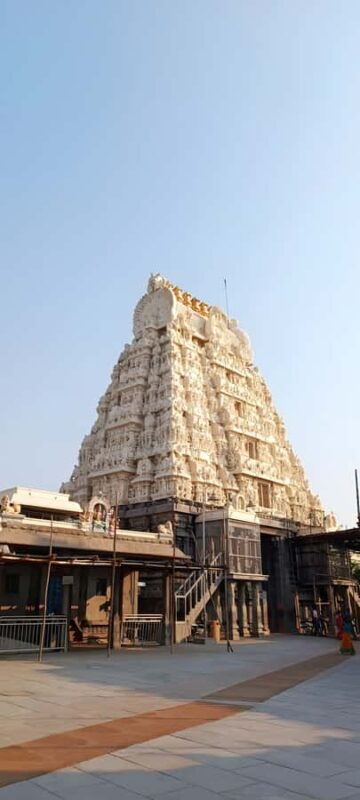 From Mahabalipuram: Kanchipuram, Thiruvanamalai & Pondi drop - Exploring Kanchipuram’s Temples