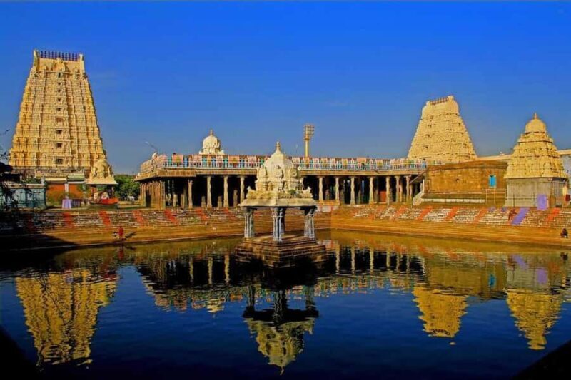 From Mahabalipuram to Kanchipuram Temple Tour with Lunch - Who Will Enjoy This Tour?