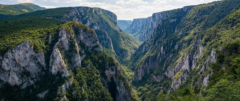 From Majdanpek: Eastern Serbia Adventure Day Trip - Pricing and Value Assessment