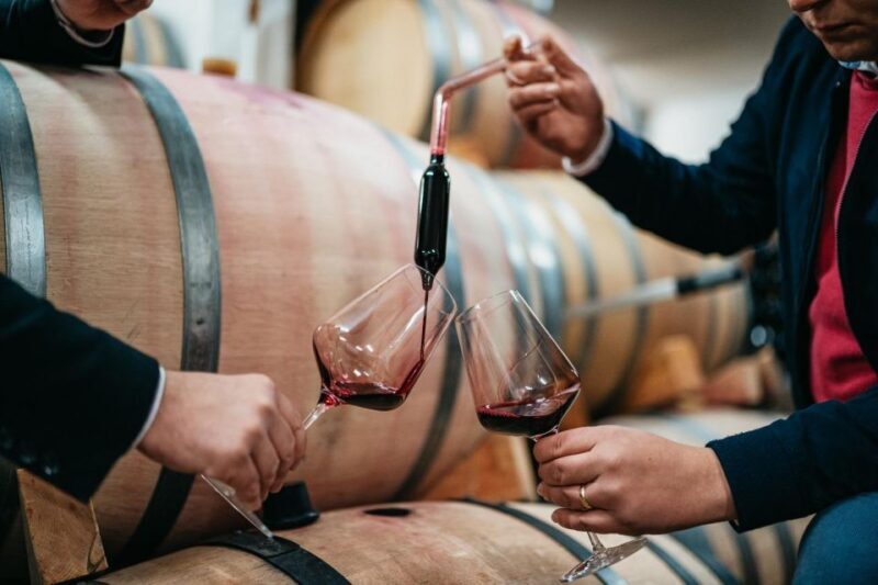 From Makarska : Wine Tasting Grabovac Tour - Introduction: A Croatian Wine Journey with a View