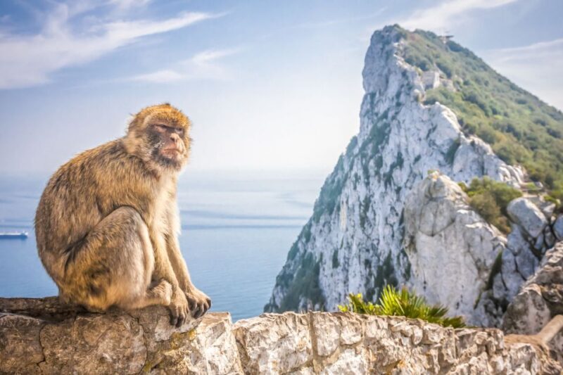 From Malaga and Costa del Sol: Gibraltar Tour - FAQ