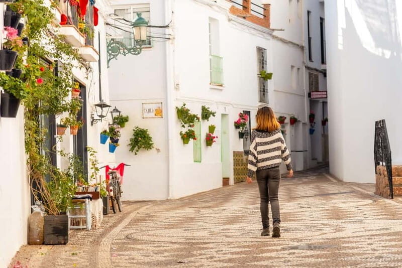From Malaga and Costa del Sol: Mijas Excursion and Costa del Sol Cruise-Ship Cruise - Key Points