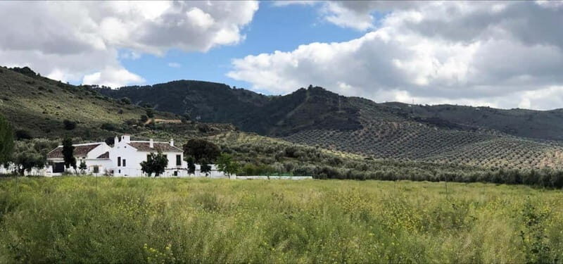 From Malaga: Antequera Heritage and Oil Mill land - Introduction