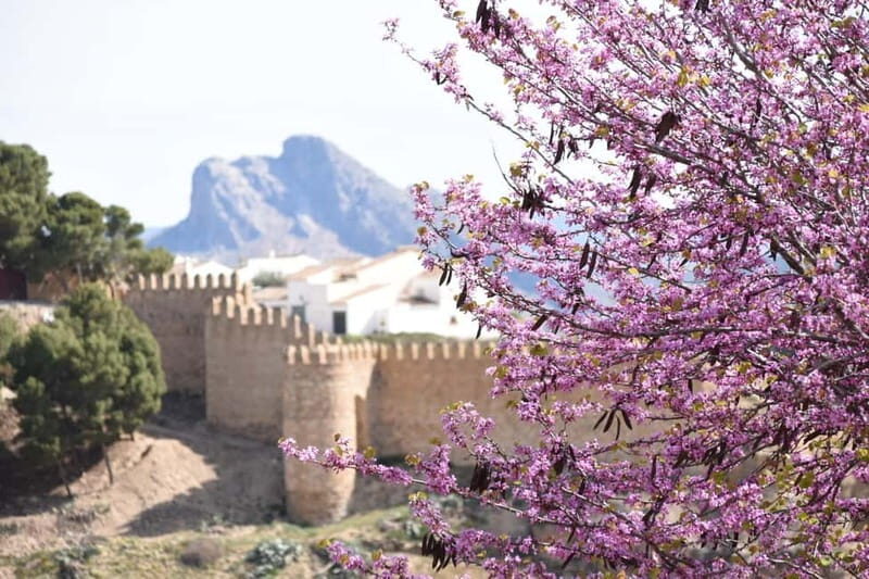 From Malaga: Antequera Heritage and Oil Mill land - In-Depth Breakdown of the Itinerary