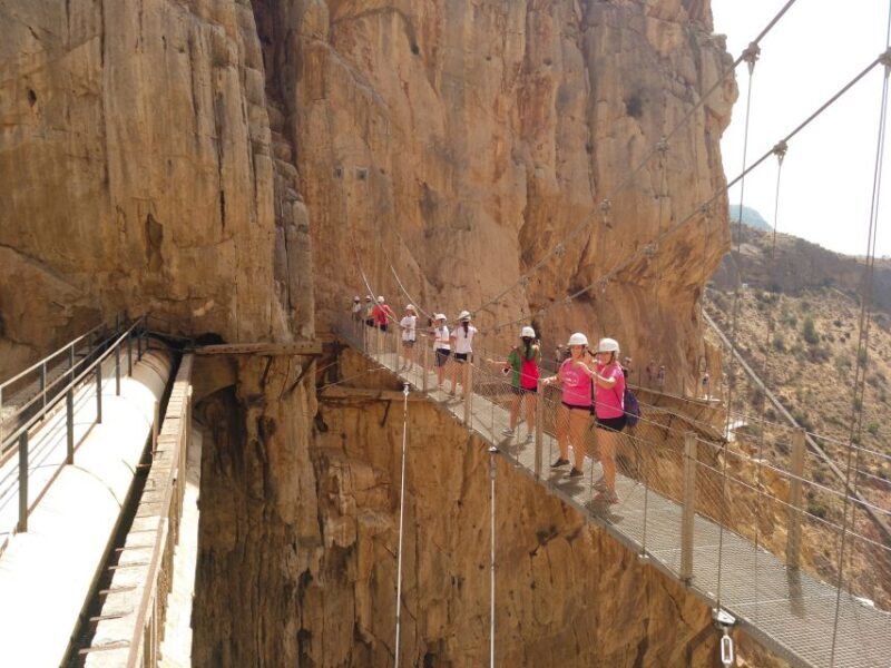 From Málaga: Caminito del Rey Full-Day Tour - The Journey in Detail