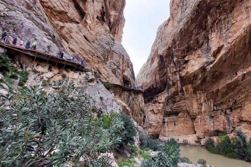 From Málaga: Caminito del Rey Guided Day Trip - Detailed Breakdown of the Itinerary
