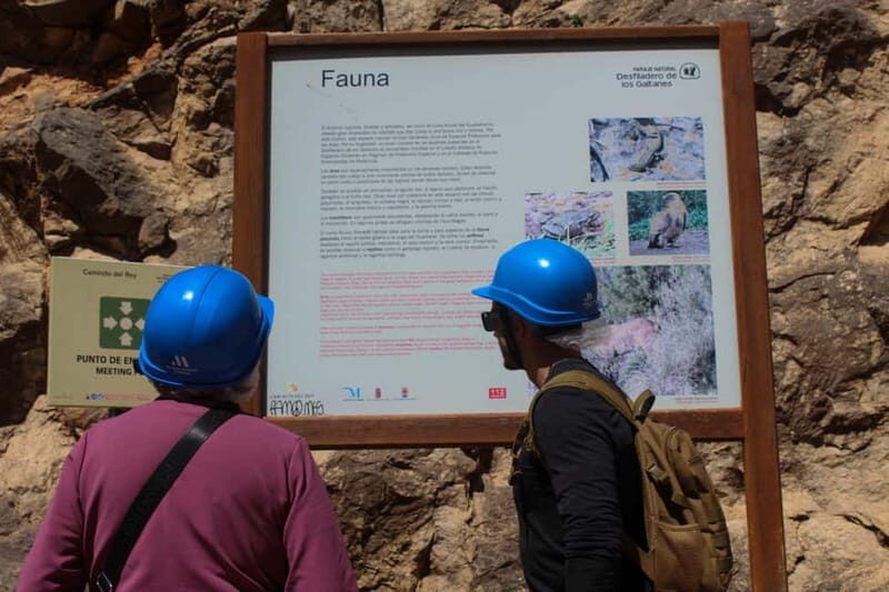 From Malaga: Caminito del Rey Tour with Entry & Pickup - Who Will Love This Tour?