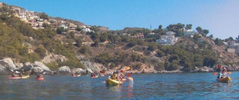 From Málaga: Cliffs of Maro-Cerro Gordo Guided Kayaking Tour - Frequently Asked Questions