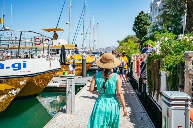From Malaga: Day trip to Gibraltar and Dolphin Boat Tour - The Dolphin Boat Tour: A Marine Encounter