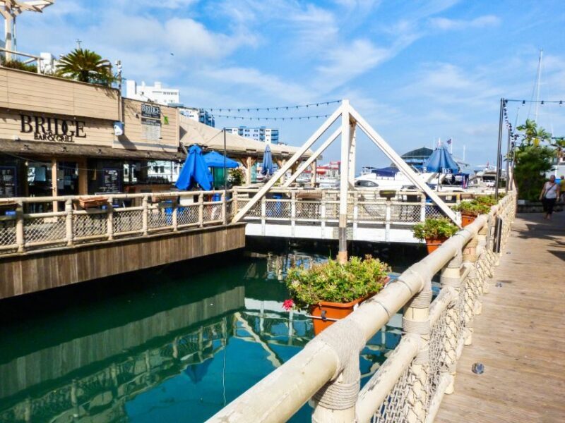 From Malaga: Day trip to Gibraltar and Dolphin Boat Tour - Lunch and Additional Free Time