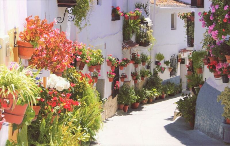 From Málaga: El Saltillo Gorge and White Village Hiking Tour - Our Honest Take
