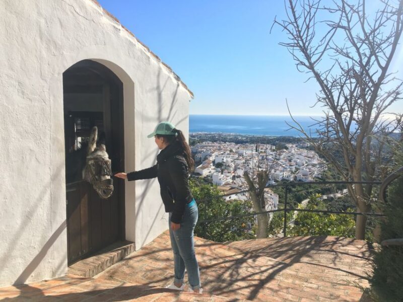From Málaga: Frigiliana Hiking Tour with Wine & Appetizers - Exploring the Frigiliana Hiking Tour from Málaga: An Honest Review