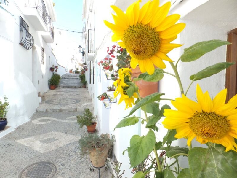 From Málaga: Frigiliana Hiking Tour with Wine & Appetizers - The Village of Frigiliana