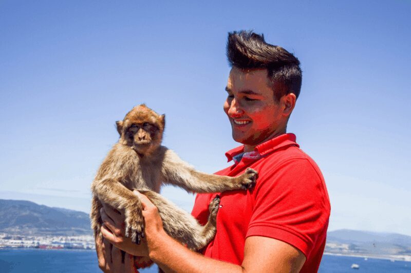 From Malaga: Full-Day Trip to Gibraltar - An Introduction to the Gibraltar Day Trip from Malaga