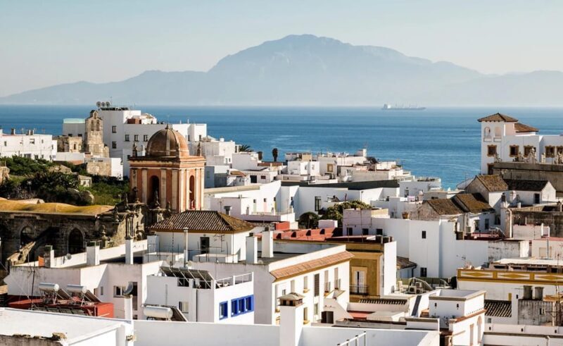 From Malaga: Guided tour in Tarifa with whale-watching and dolphin watching - A Deep Dive into the Experience