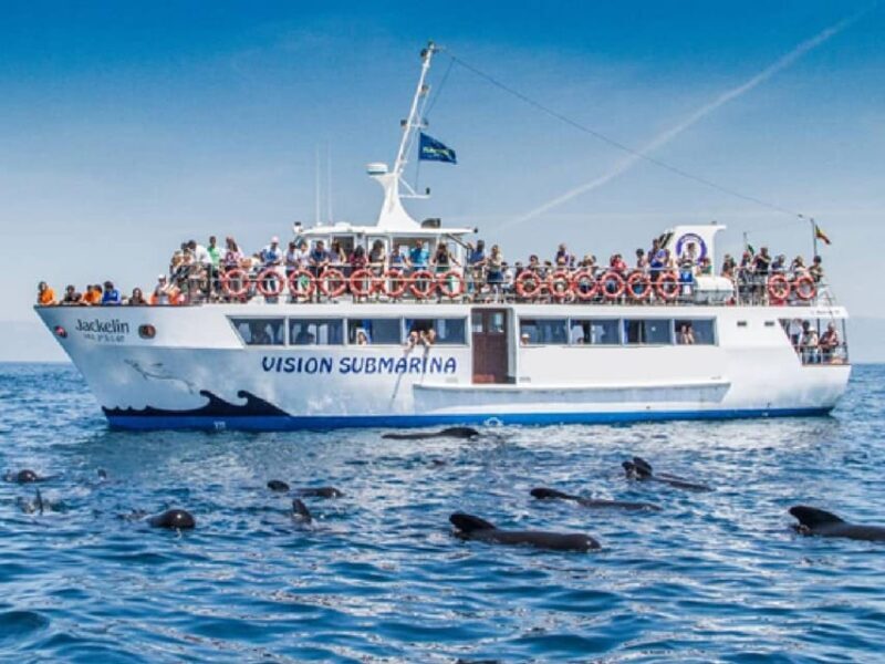 From Malaga: Guided tour in Tarifa with whale-watching and dolphin watching - Who Should Consider This Tour