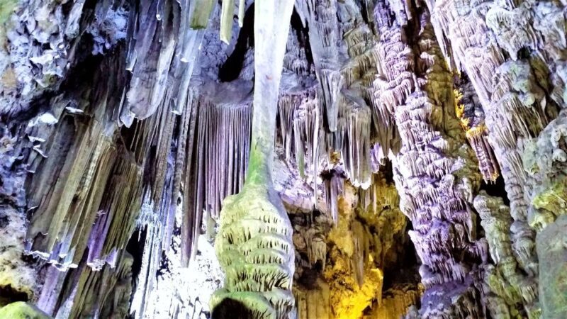 From Málaga or Marbella: Private Gibraltar Tour - FAQ