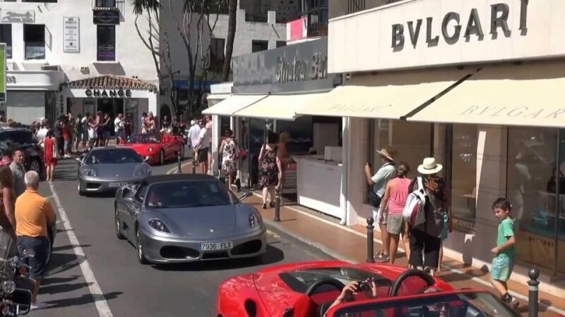 From Malaga: Private guided tour of Marbella, Mijas, Banús - Key Points