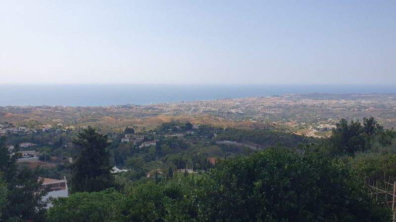 From Malaga: Private guided tour of Marbella, Mijas, Banús - Cons to Keep in Mind
