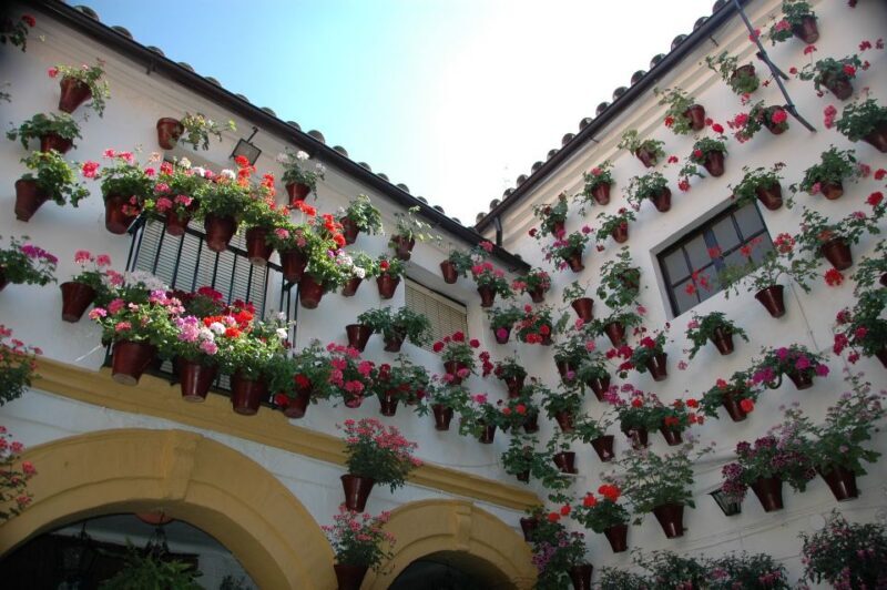 From Malaga: Private Guided Walking Tour of Córdoba - Exploring the Tour Overview