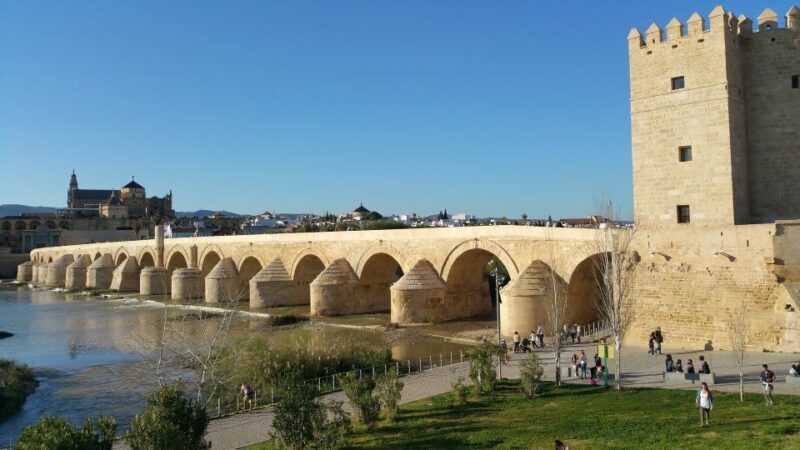 From Malaga: Private Guided Walking Tour of Córdoba - What Makes This Tour Stand Out