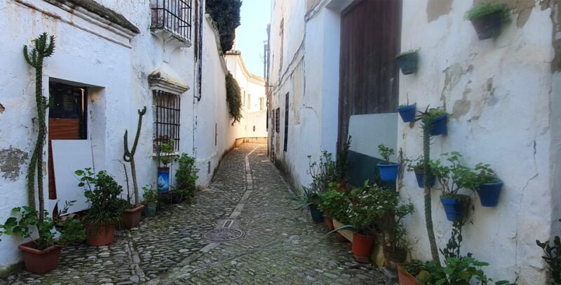 From Malaga: Ronda and Setenil Tour with Tourist Train - Transportation and Comfort