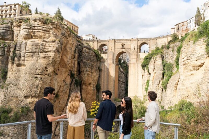 From Málaga: Ronda, Wine & Olive Oil Tasting Small Group - Key Points