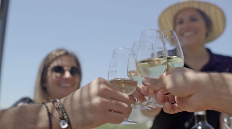 From Málaga: Ronda, Wine & Olive Oil Tasting Small Group - An Introduction to the Tour