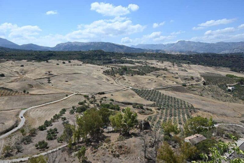 From Malaga: Ronda y Setenil de la Bodegas Day Trip by coach - Who Should Consider This Tour?