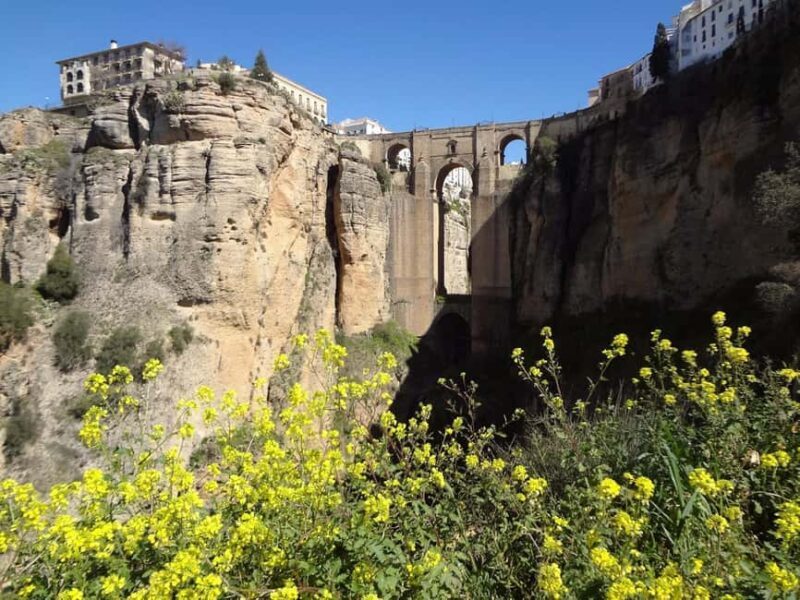 From Malaga: Ronda y Setenil de la Bodegas Day Trip by coach - Final Thoughts