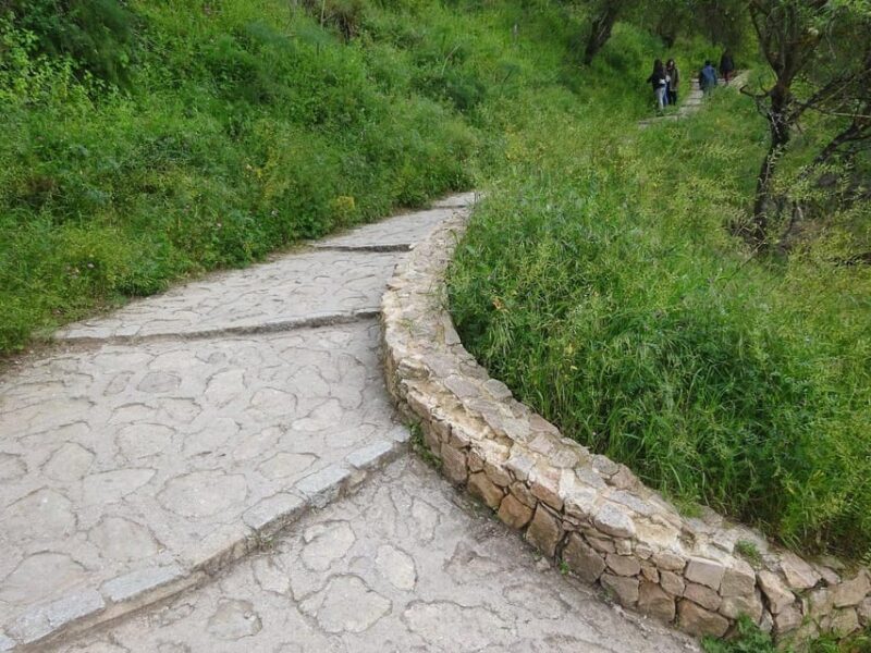 From Malaga: Ronda y Setenil de la Bodegas Day Trip by coach - FAQ