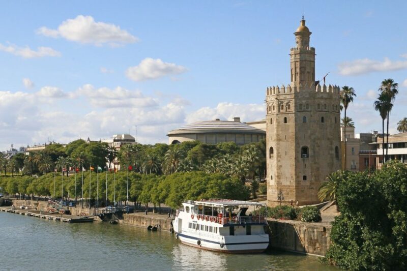 From Malaga: Seville Private Tour with Alcazar and Cathedral - The Journey from Malaga to Seville