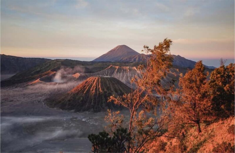 From Malang: Bromo & Ijen 2-Day Tour with Bali Drop-off - Final thoughts
