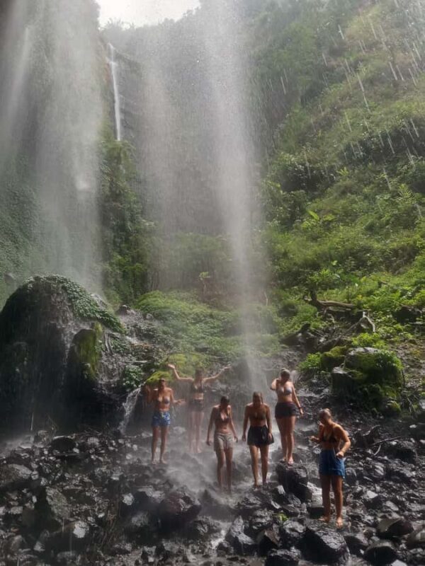From Malang / Surabaya: Madakaripura Waterfall Guided Tour - The Basics: What You’re Signing Up For