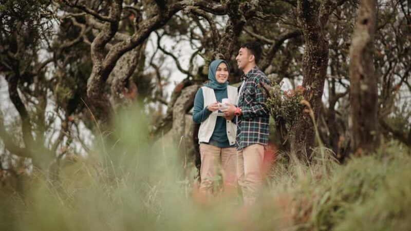 From Malang: Ultimate Mount Bromo National Park Sunrise Tour - Key Points