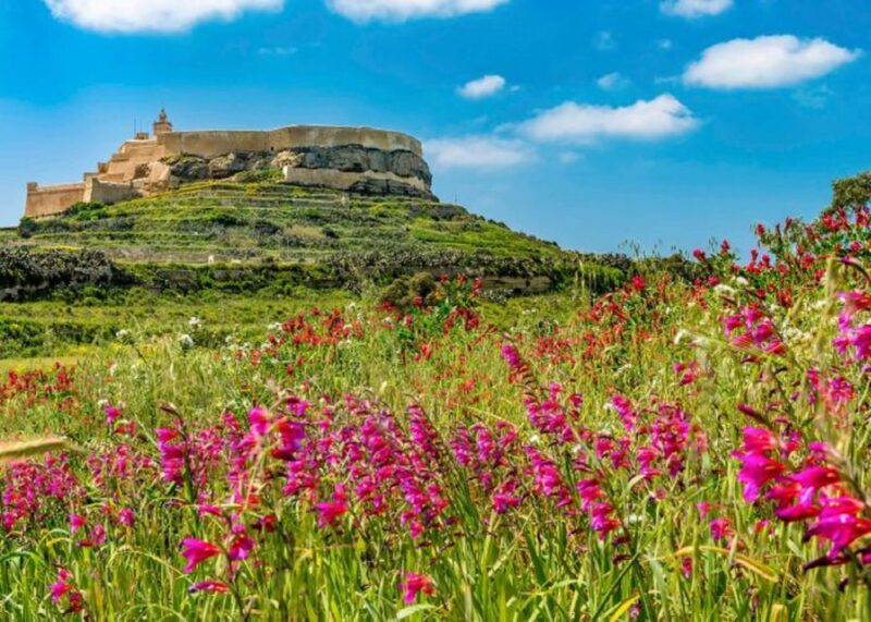 From Malta: Gozo Full-Day Tour with Guide, Temples, & Train - Exploring Malta’s Sister Island: A Full-Day Gozo Tour Worth Considering