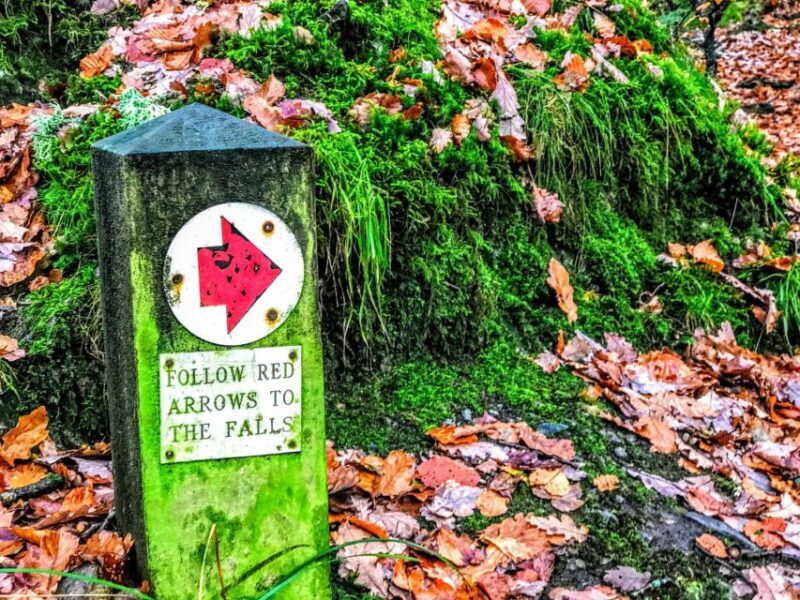 From Manchester: Lake District Sightseeing Day Trip - The Sum Up: Is This Tour for You?