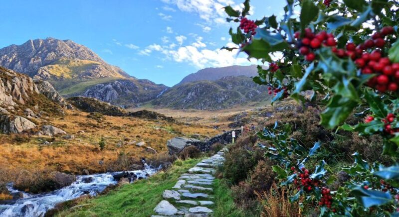 From Manchester: North Wales and Caernarfon Castle Day Trip - The Sum Up: Who Will Love This Tour?
