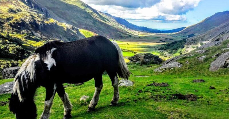 From Manchester: North Wales Sightseeing Adventure Day Trip - The Sum Up