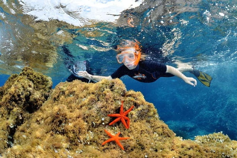 From Mandelieu-La Napoule: Boat and Snorkeling Tour - Key Points