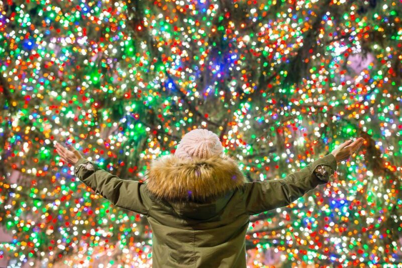 From Manhattan: 4-Hour Christmas Lights Luxury Bus Tour - Practical Tips