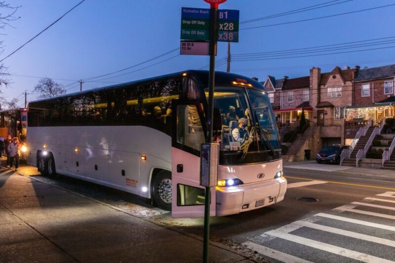 From Manhattan: 4-Hour Dyker Heights Holiday Lights Bus Tour - Accessibility and Practical Tips