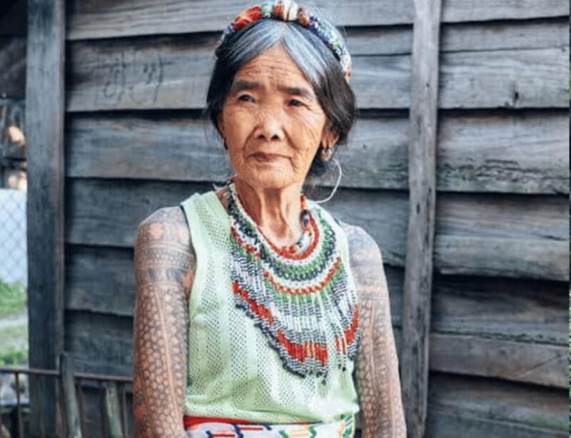 From Manila: 2-Day Buscalan Tour with Apo Whang-od - Who Is This Tour Perfect For?