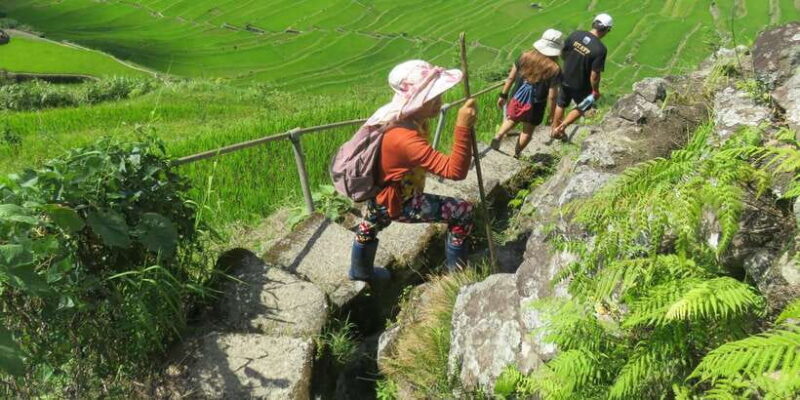 From Manila: 4-Day Sagada and Banaue Rice Terraces Tour - FAQ