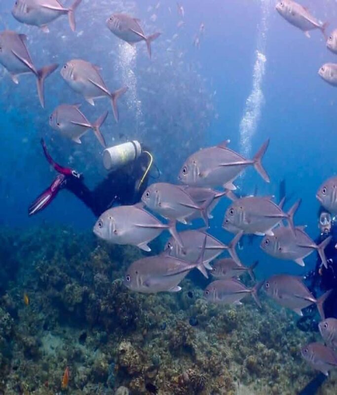 From Manila: Beginner's Scuba Diving Experience - An Honest Look at the Experience