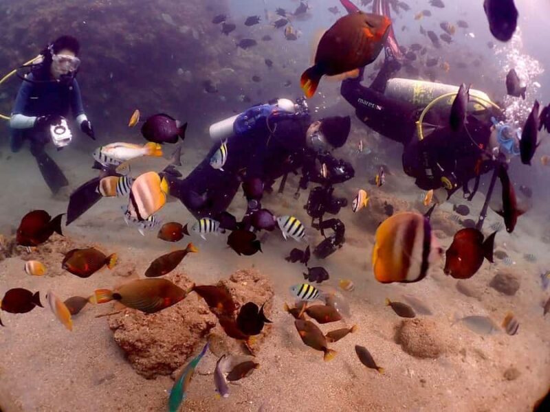 From Manila: Beginner's Scuba Diving Experience - FAQ