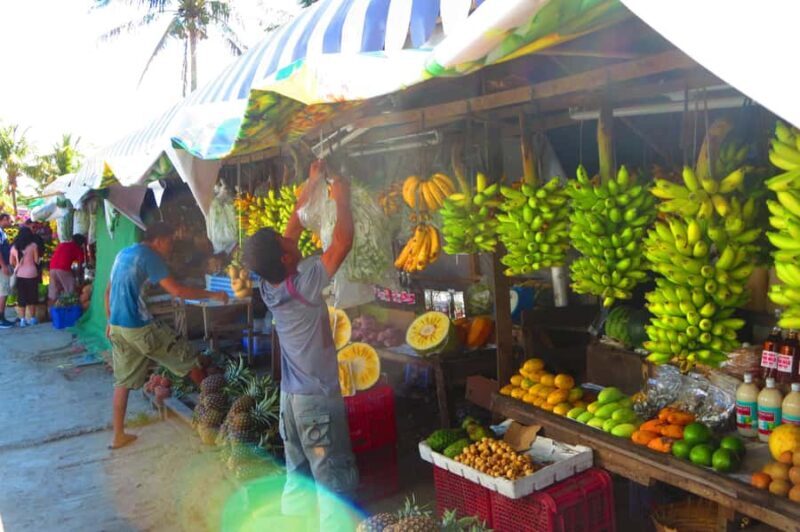 From Manila: Taal Volcano & Hidden Waterfalls Tour - Key Points