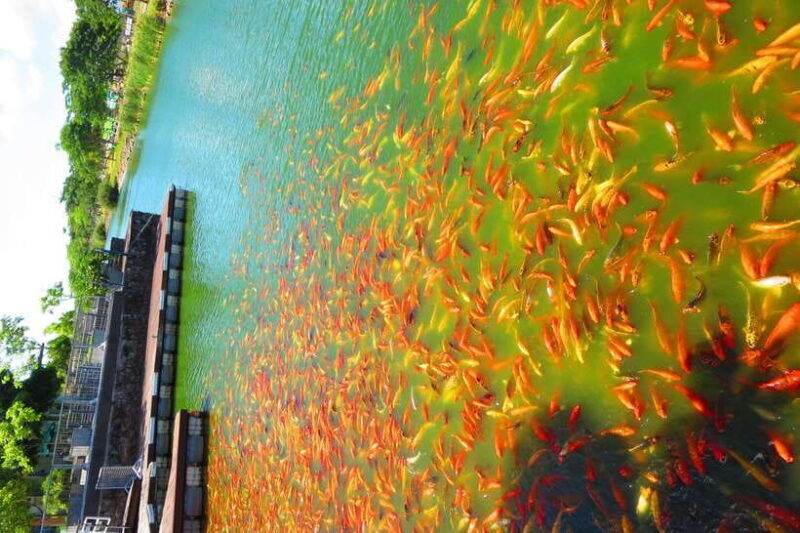 From Manila: Tagaytay Countryside Wonders: A Half-Day Tour - Weather and Planning Tips