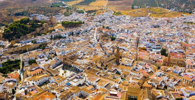 From Marbella: Antequera Wine Tour with Tastings and Lunch - Who Will Love This Tour?